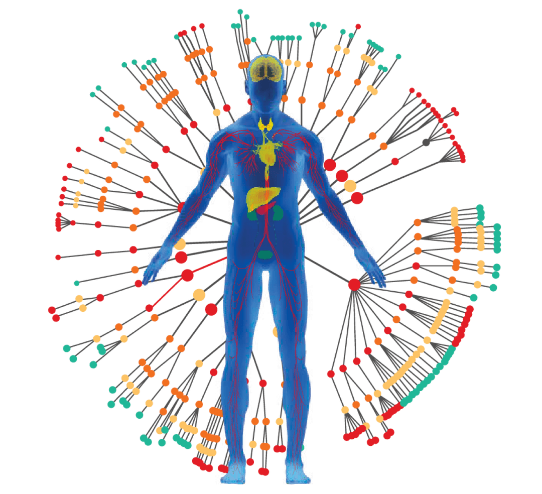 Reverse Diabetes, Obesity, PCOS & More | Twin Health